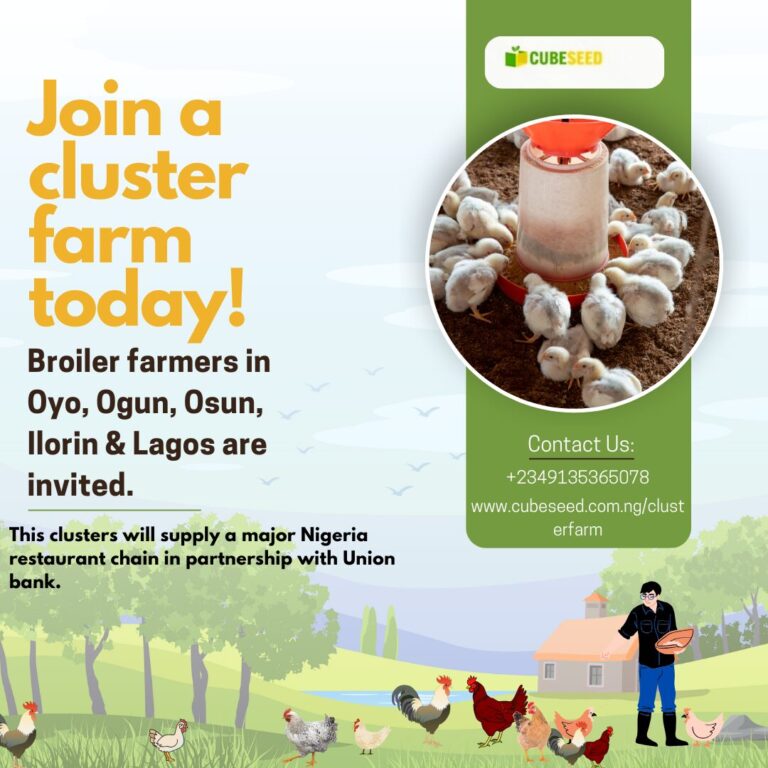 Farm Cluster - Cubeseed Africa